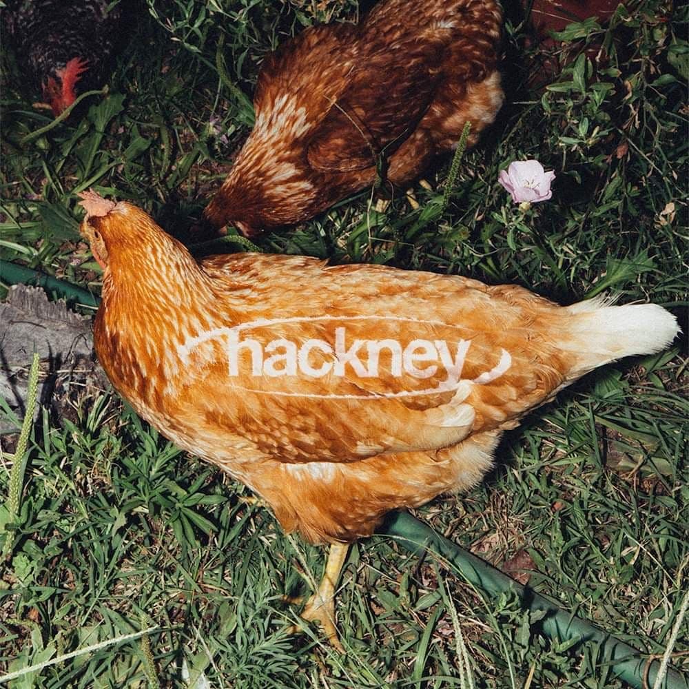 Collections | Hackney Clothing